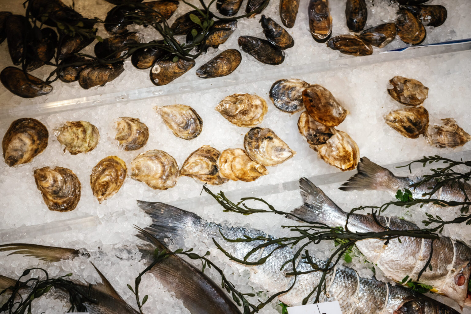 The Making of Littleton’s Market - Edible Columbus